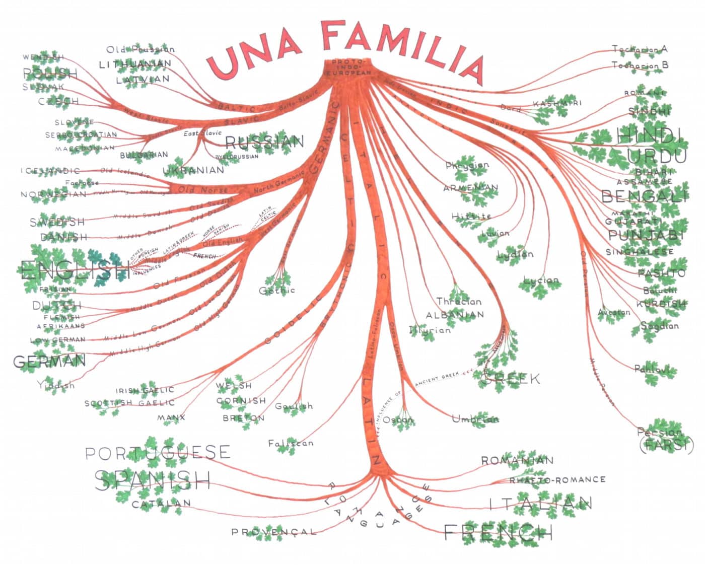 Grades 5-8 | The Sage School